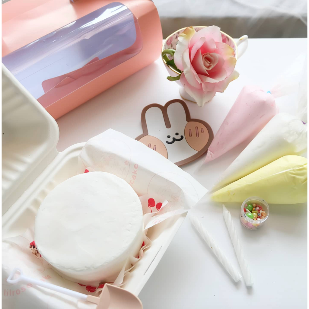 DIY BENTO CAKE KIT - Tự Trang Trí Bánh Kem Sinh Nhật Mini (Ship Hoả Tốc ...