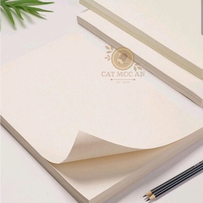 Giấy Việt Trì vẽ luyện thi khối V - H, hình họa, phác thảo ( kích thước ...