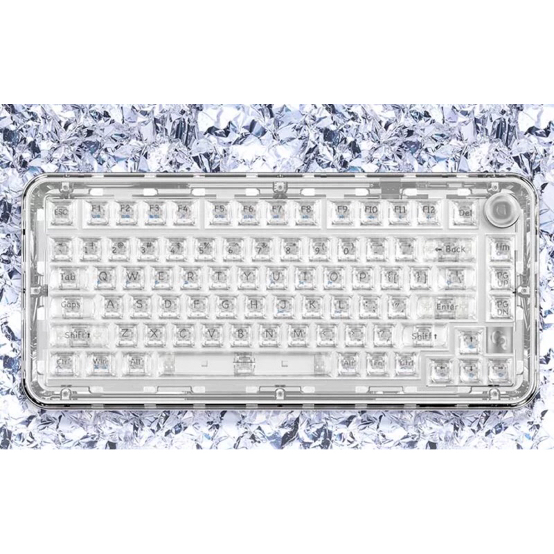 Bàn phím cơ trong suốt Color Reco F81 chuẩn 81 phím 3 chế độ kèm cổng ...