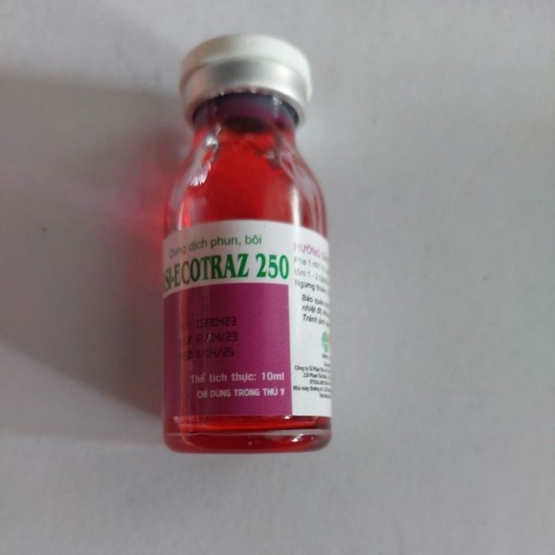 1 lọ pha 10 lít nước Ecotraz 250 phun xịt ve | Shopee Việt Nam