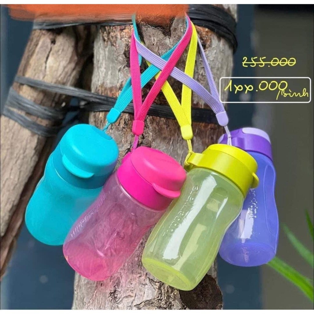 BÌNH NƯỚC ECO BOTTLE GEN II 310ML | Shopee Việt Nam