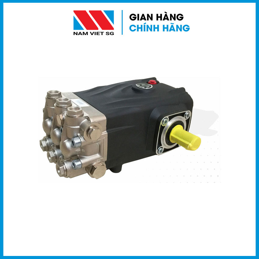 Đầu bơm cao áp (Pump high pressure) AR RG21.25N trục 24 mm kiểu lắp ...