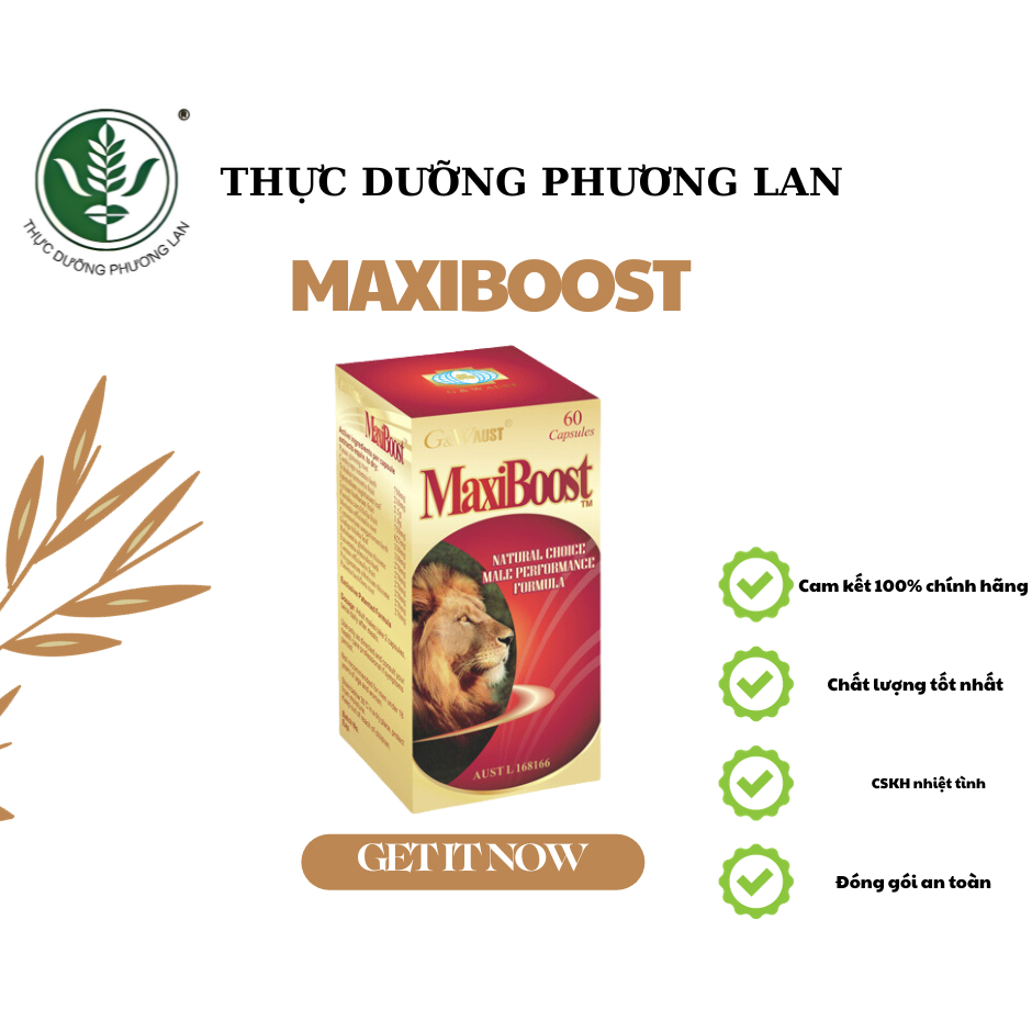 Maxiboost - Phục Hồi Sinh Lý, Tăng Cường Sinh Lực Phái Mạnh ( 1 Hộp ...