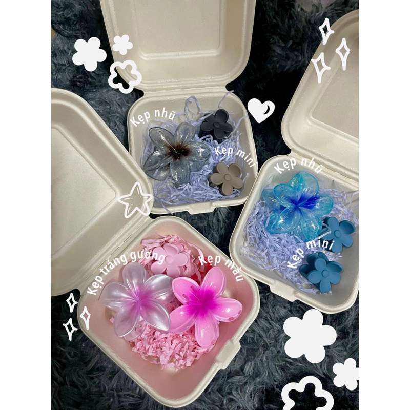 Box quà kẹp tóc mix | Shopee Việt Nam