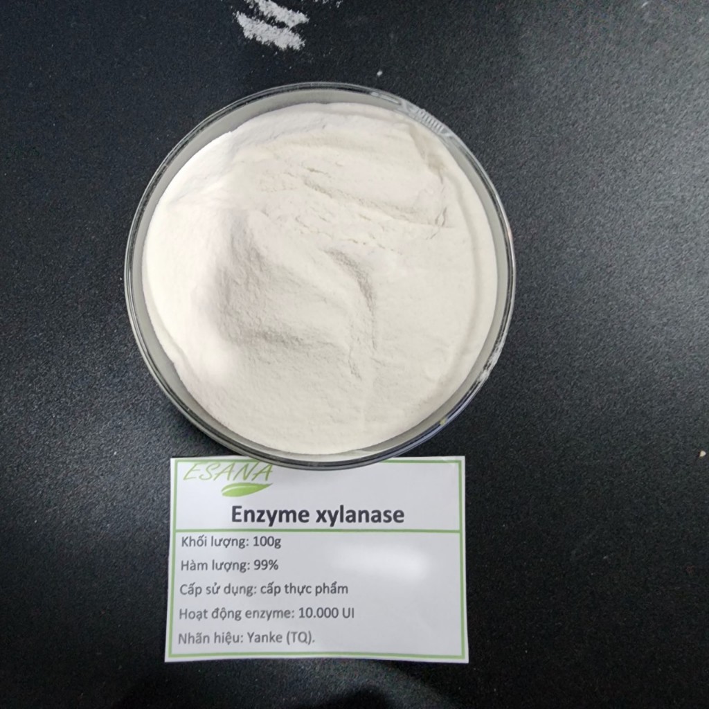 100g Enzyme Xylanase hàm lượng 99% cấp thực phẩm | Shopee Việt Nam