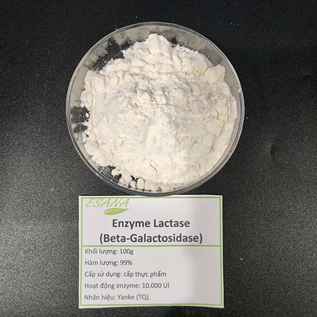 100g Enzyme Lactase (Beta Galactosidase) hàm lượng 99% cấp thực phẩm ...