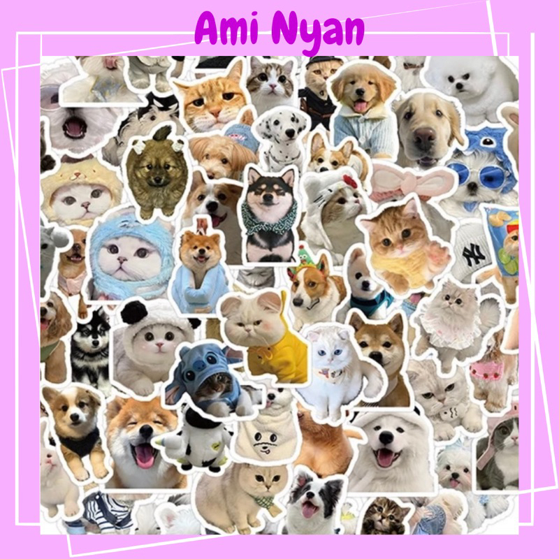 Sticker thú cưng mèo chó dễ thương, set 50 cái | Shopee Việt Nam