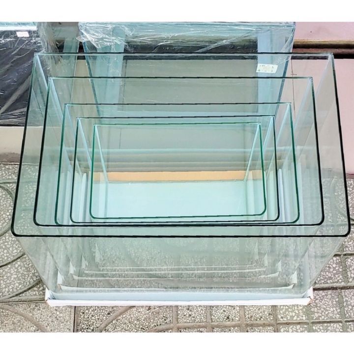 ( Hỏa tốc HCM) Bể Cá Mini CONG CẠNH, VUÔNG CẠNH KÍCH THƯỚC 20-60CM ...