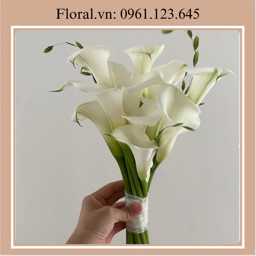 100% Hoa tươi | Calla lily ( Hoa Rum ) nhập khẩu Hà Lan | Ship hoả tốc ...