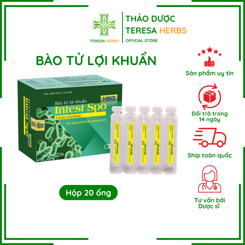 Bào tử lợi khuẩn Intest Spo hỗ trợ giảm rối loạn tiêu hóa, viêm đại ...
