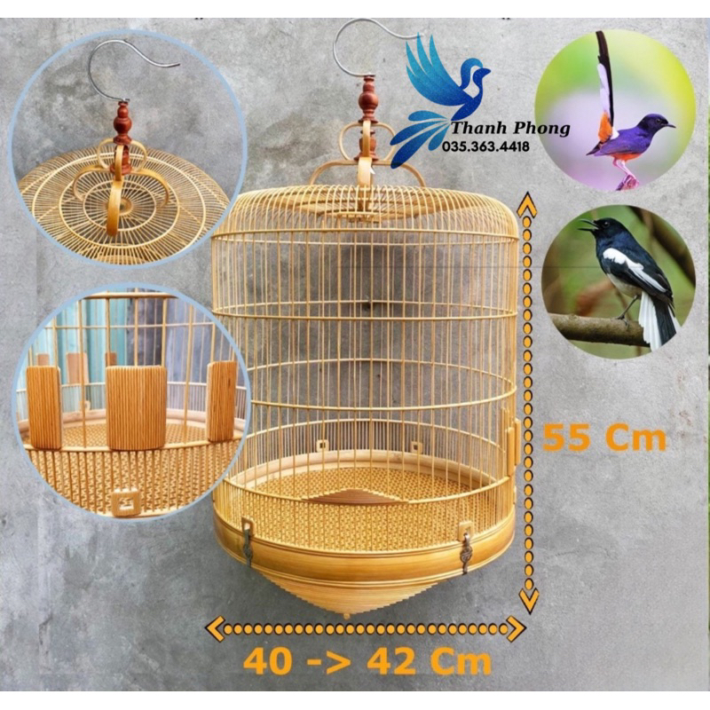 Lồng chim, Lồng Chích Chòe dũi chỉ - magpie robin cage, the big bird ...