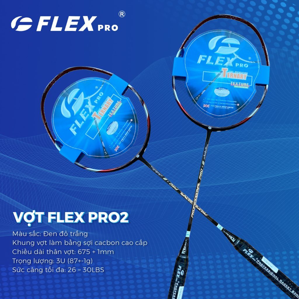 FLEX PRO - LOTUS SPORT - VỢT CẦU LÔNG FLEXPRO - PRO 2 (3UG2 THÂN CỨNG ...