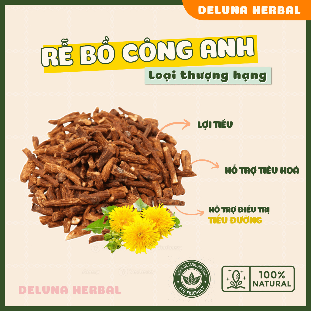 Rễ Bồ Công Anh thượng hạng Dandelion Root lợi tiểu và hỗ trợ tiêu hóa ...