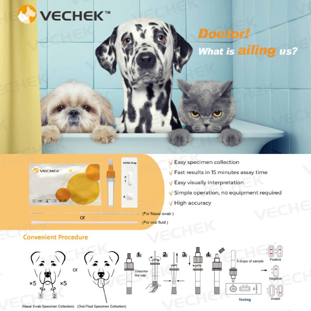 QUE TEST NHANH CCV KHÁNG NGUYÊN | Shopee Việt Nam