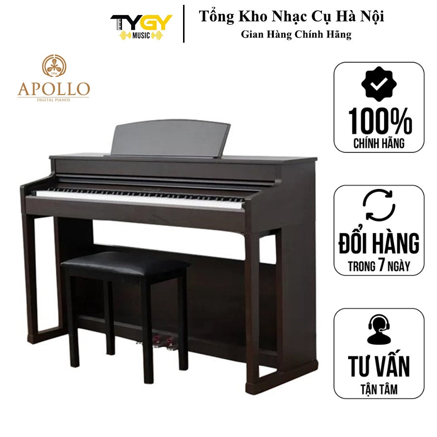 Đàn Piano Điện TYGY Music Apollo DP-260 Chính hãng full box - Chất ...