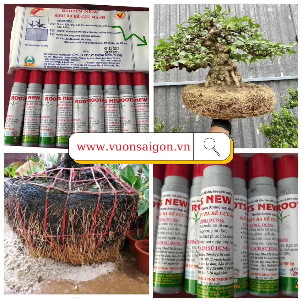 Thuốc kích rễ Roots New siêu ra rễ cực mạnh | Vườn Sài Gòn
