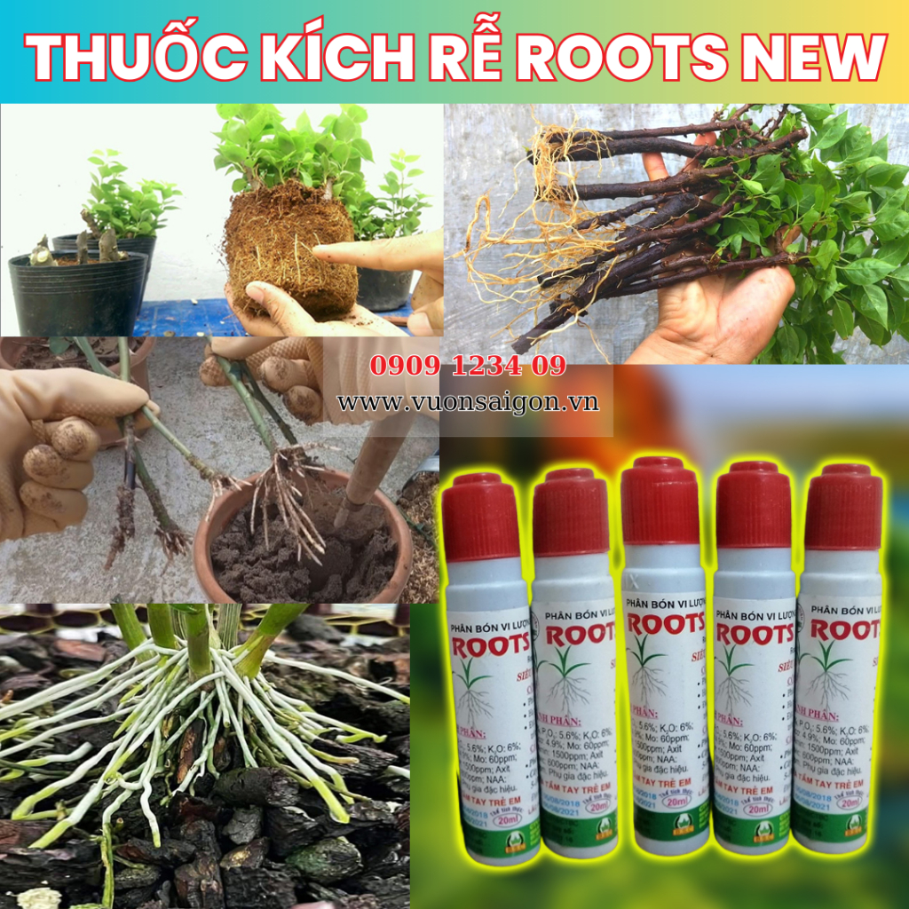 Thuốc kích rễ Roots New siêu ra rễ cực mạnh | Vườn Sài Gòn
