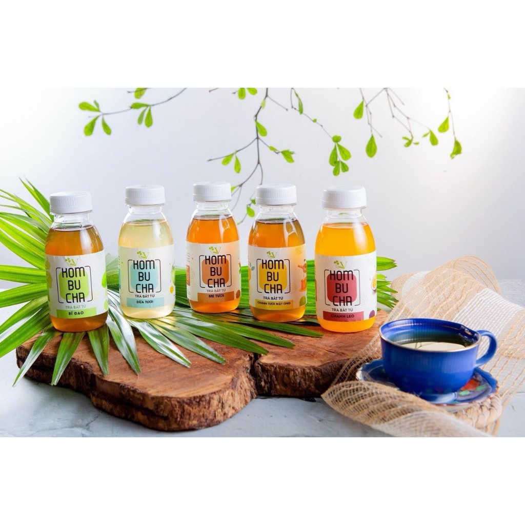 TRÀ KOMBUCHA LIGHT - 250ML | Shopee Việt Nam