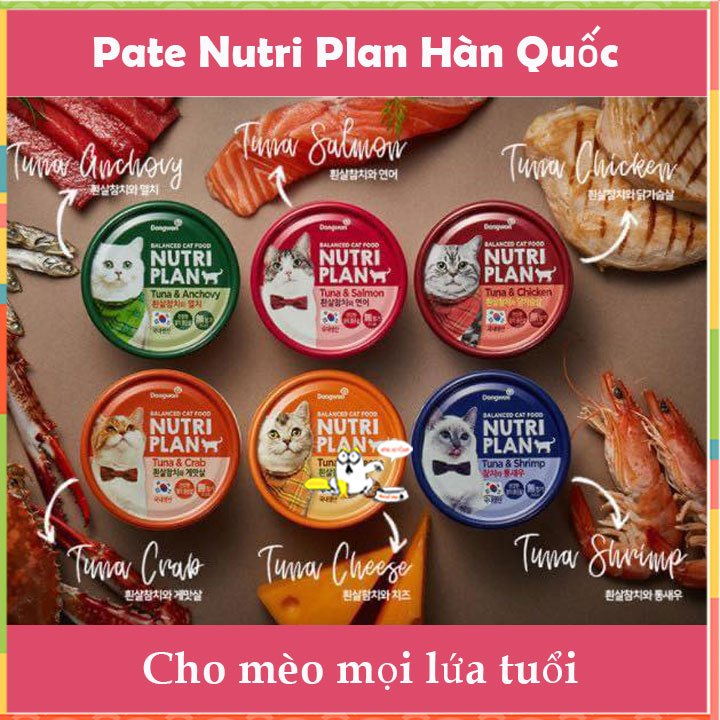Pate Nutri Plan & Nutri Plan Dish cho mèo_mèo cam shop | Shopee Việt Nam
