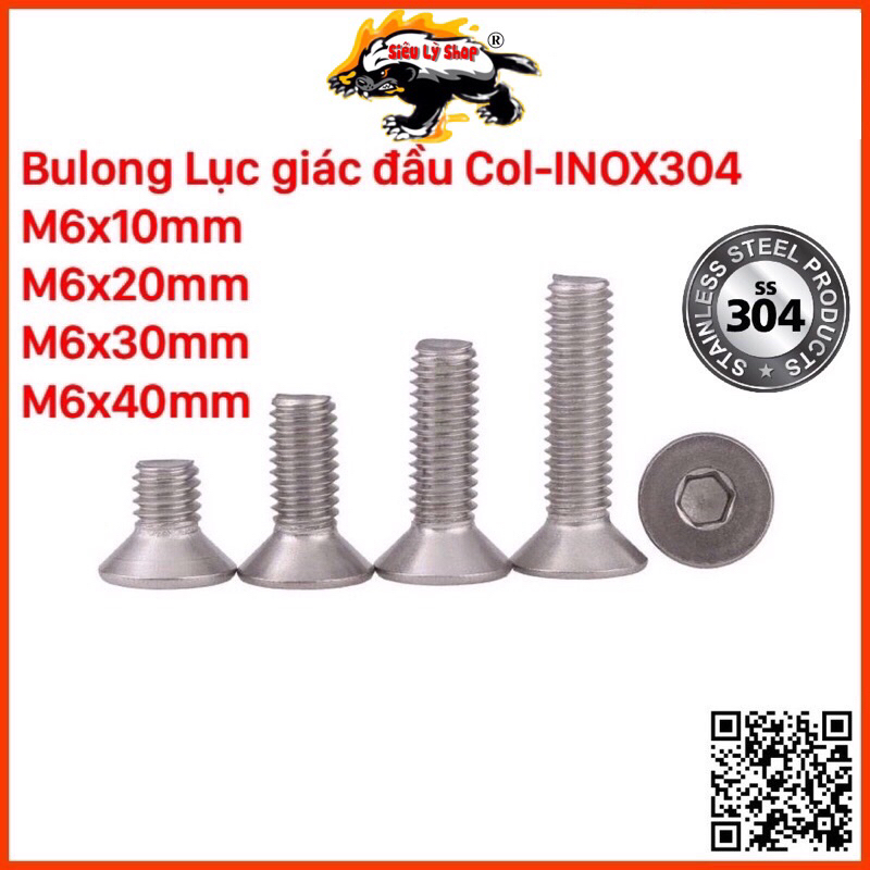 [Set 10con] Bulong lục giác INOX 304 Đầu Col (Đầu Bằng) - Size M6 ...
