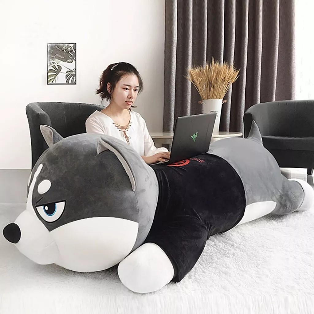 Gấu Bông Chó Husky, Mèo Husky 1M7 Siêu To Khổng Lồ, Chó Ngáo Mèo Dễ ...