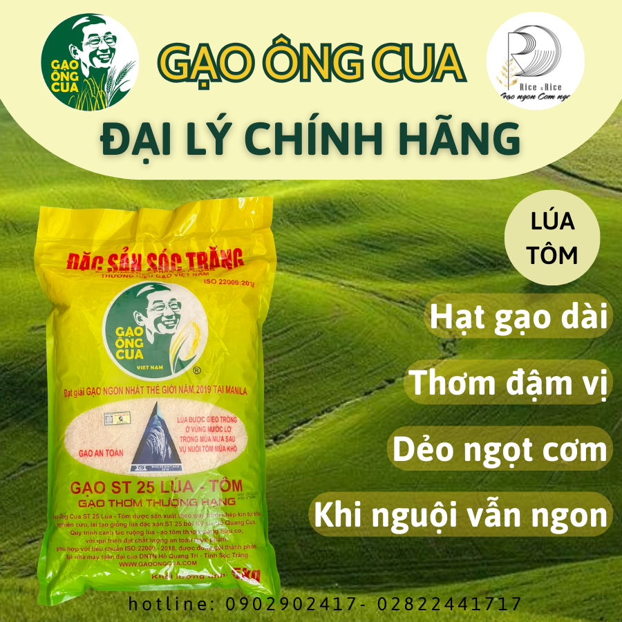 Túi 5KG Gạo ST25 - Lúa Tôm dẻo dai mềm - Gạo Ông Cua - Phương Nam ...