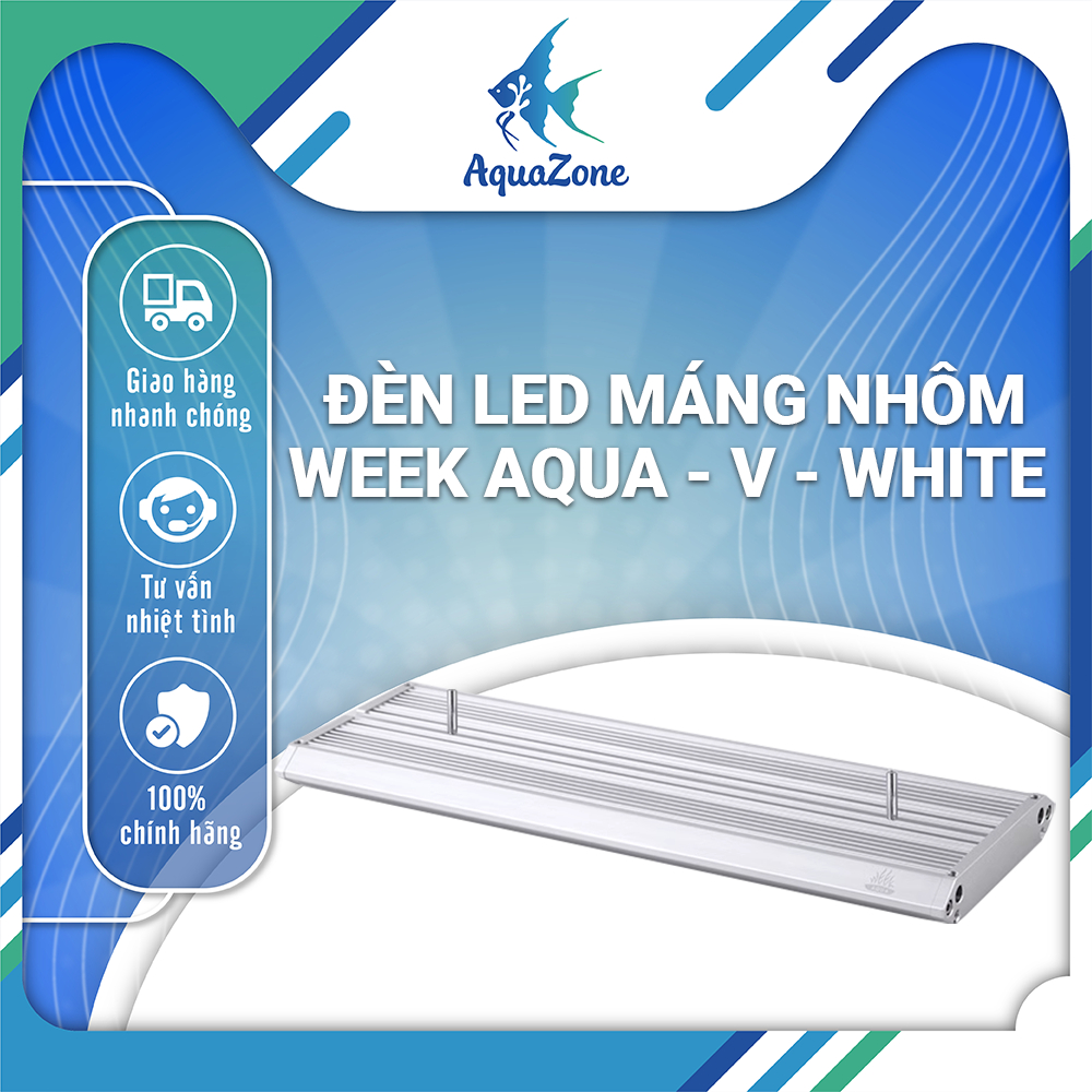 Đèn Led máng nhôm Week Aqua - V (White) Series: 200-300-400-450-600-800 ...