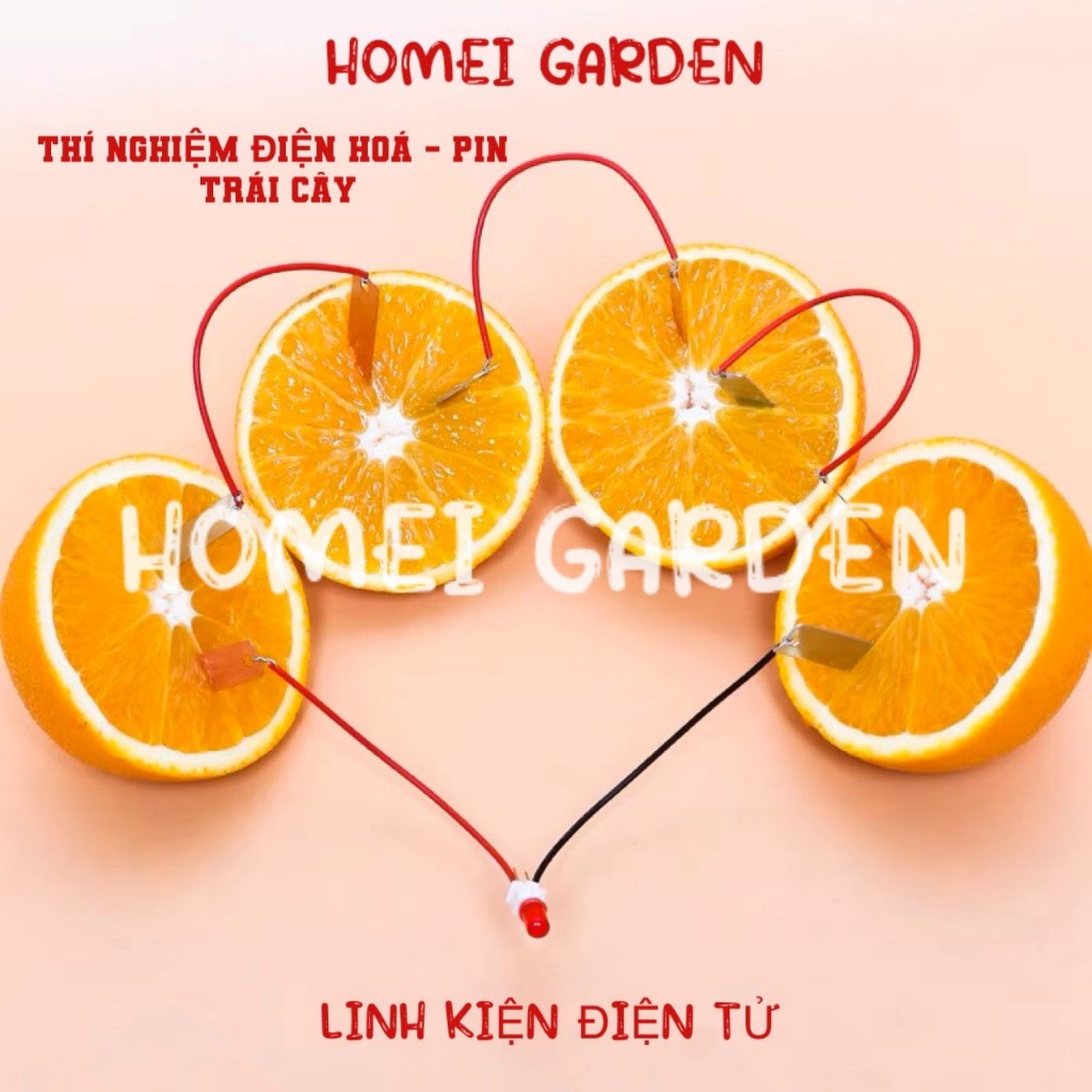 Pin điện hóa - pin quả chanh - pin khoai tây - pin trái cây - đồ chơi ...