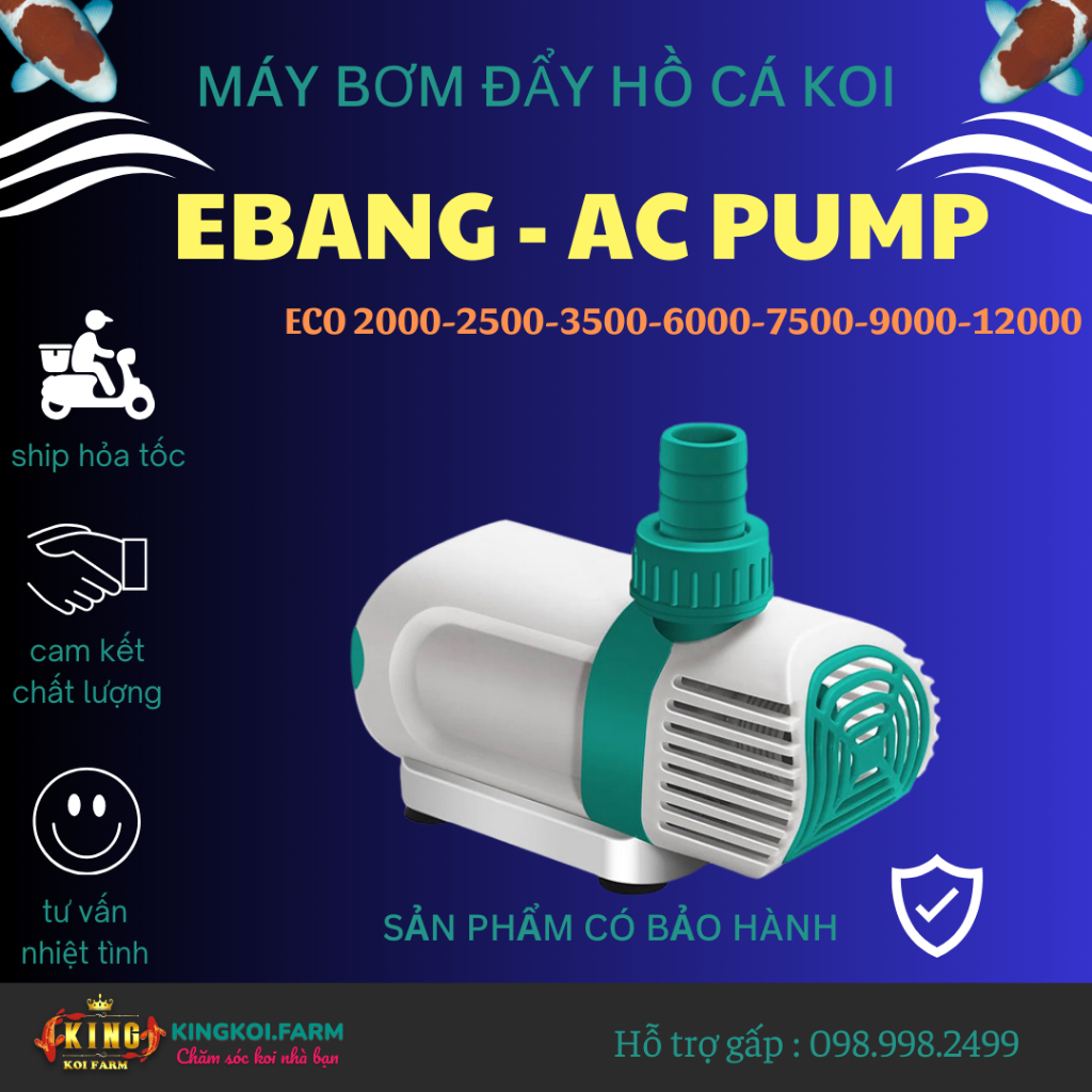 Máy Bơm Nước EBANG ECO AC PUM Máy Bơm Nước Cao Cấp , Series 2000 - 12000L/H Lưu Lượng Mạnh Mẽ ...