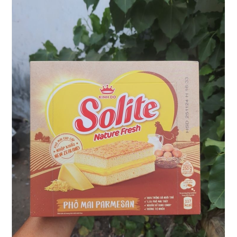 Bánh Bông lan tầng kem phô mai Solite Nature Fresh hộp 250gam | Shopee ...