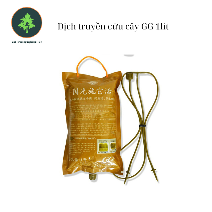 Dịch truyền GG cho cây túi 1 lít - dinh dưỡng phục hồi cây, tăng tỷ lệ ...