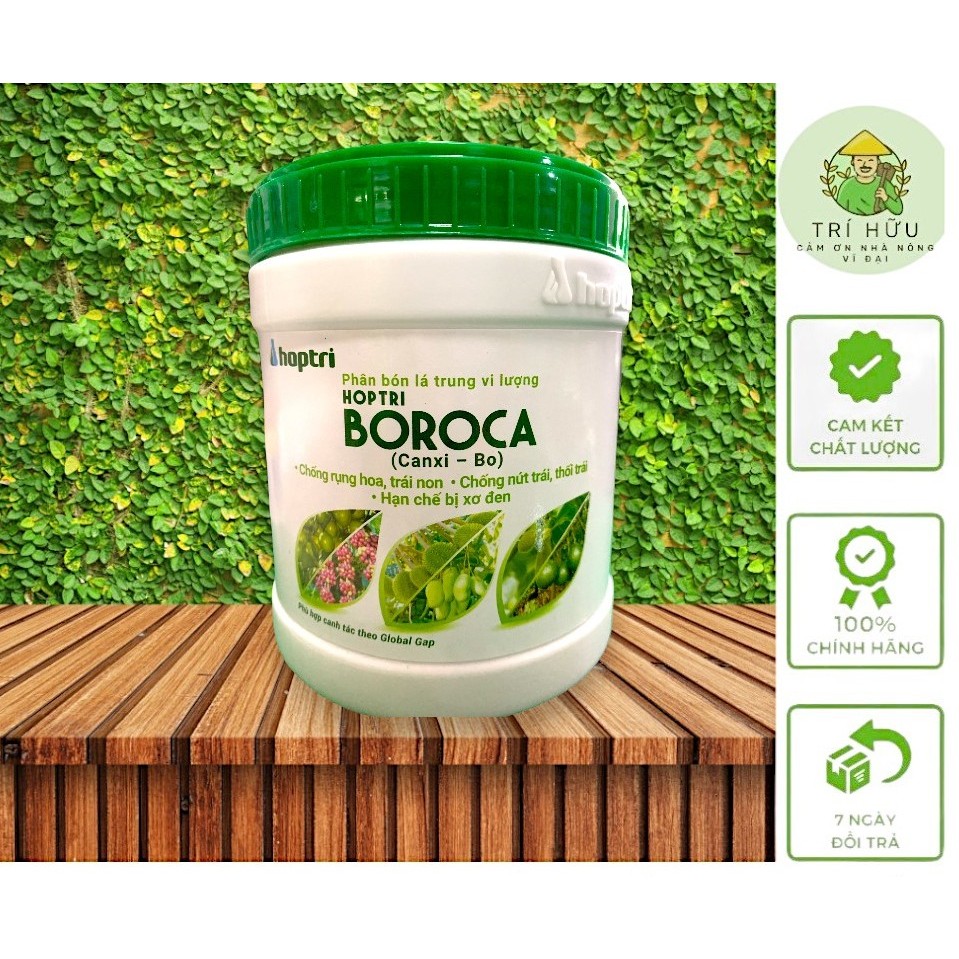 Hợp Trí Boroca CANXI+BO (HỦ 500G) | Shopee Việt Nam