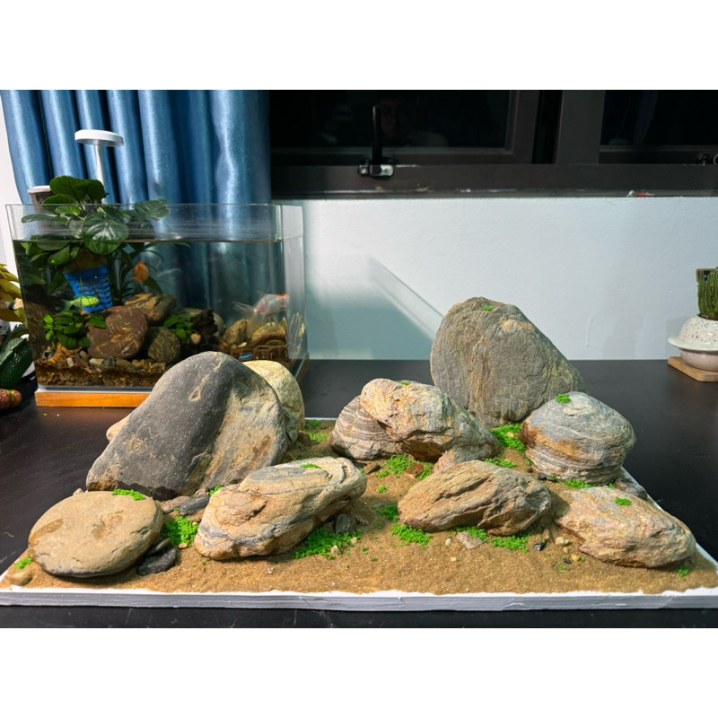 Layout đá cuội vân mây bể thuỷ sinh - BioTop - Bể 50cm | Shopee Việt Nam