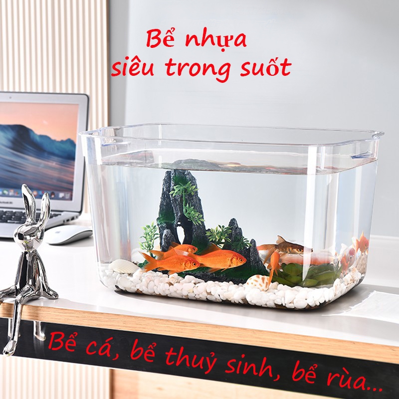 Bể nhựa trong suốt nuôi cá cảnh, bể thủy sinh băng nhựa chất liệu PET ...