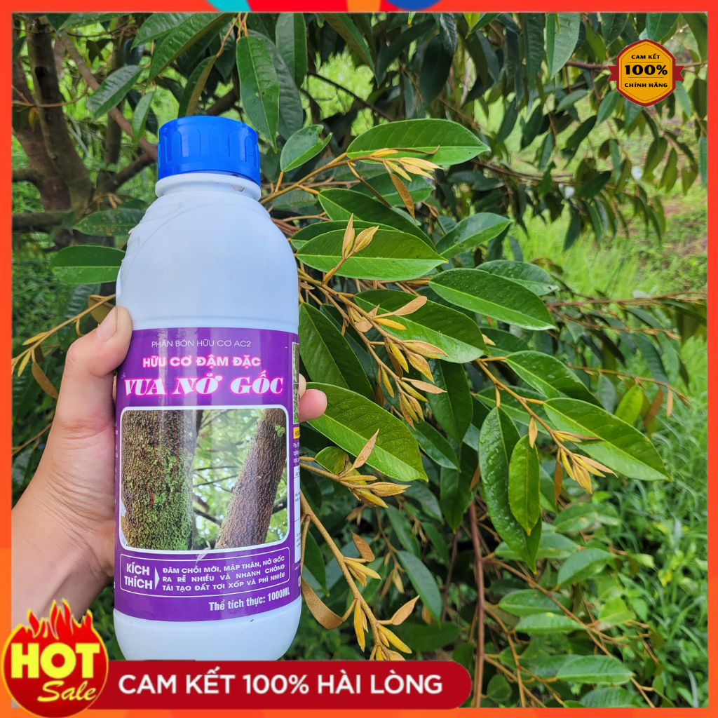 Combo 02 chai Vua Nở Gốc giúp cây Đâm Chồi, Mập Thân, Nở Gốc | Shopee ...