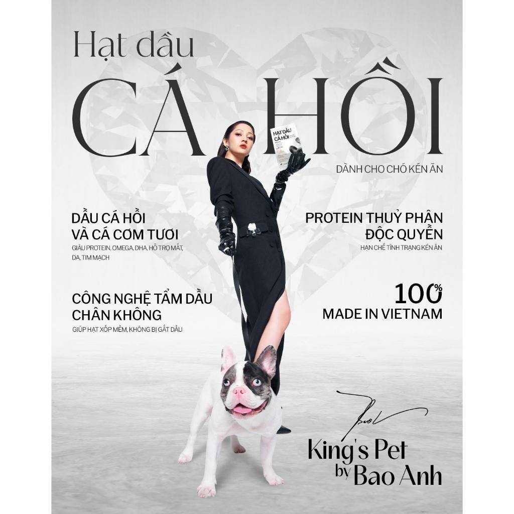 Thức Ăn Hạt cho CHÓ lớn Morando / King's Pet by Bao Anh | Shopee Việt Nam