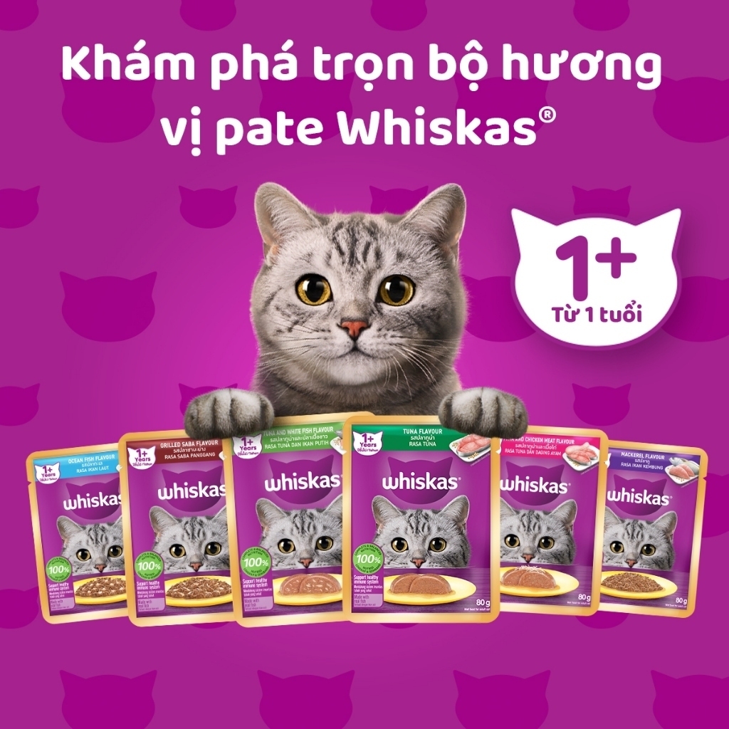 28 gói sốt mèo Whiskas 80gr | Shopee Việt Nam