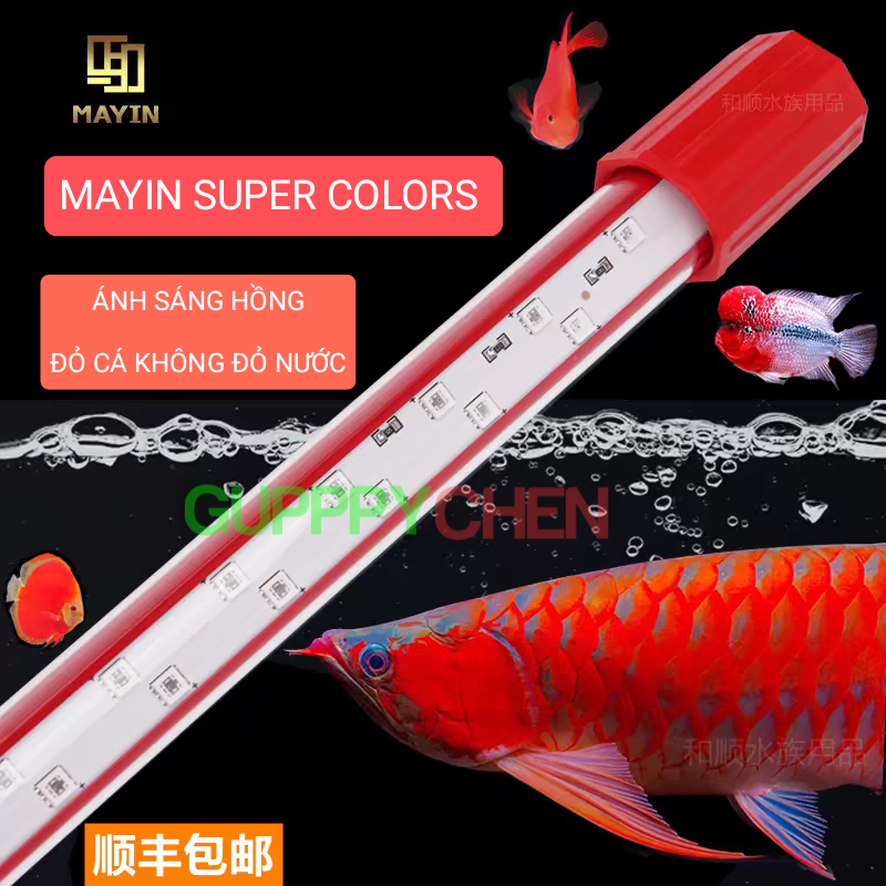 (Hoả Tốc) Đèn Mayin Super Colors Thế Hệ 3 - Đỏ Cá Không Đỏ Nước - Đèn ...