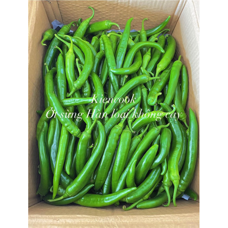 ớt sừng xanh ngọt Hàn Quốc loại không cay 100g/12k | Shopee Việt Nam