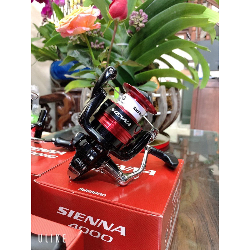 Máy câu Shimano SIENA chính hãng | Shopee Việt Nam