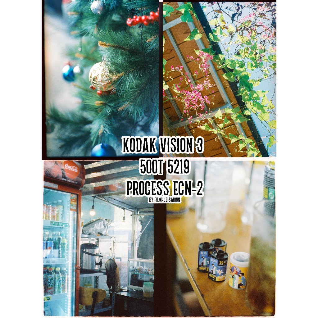 [GIAO HỎA TỐC]Film Kodak Vision 3 50D 200T 250D 500T 100D 320T 400D ...
