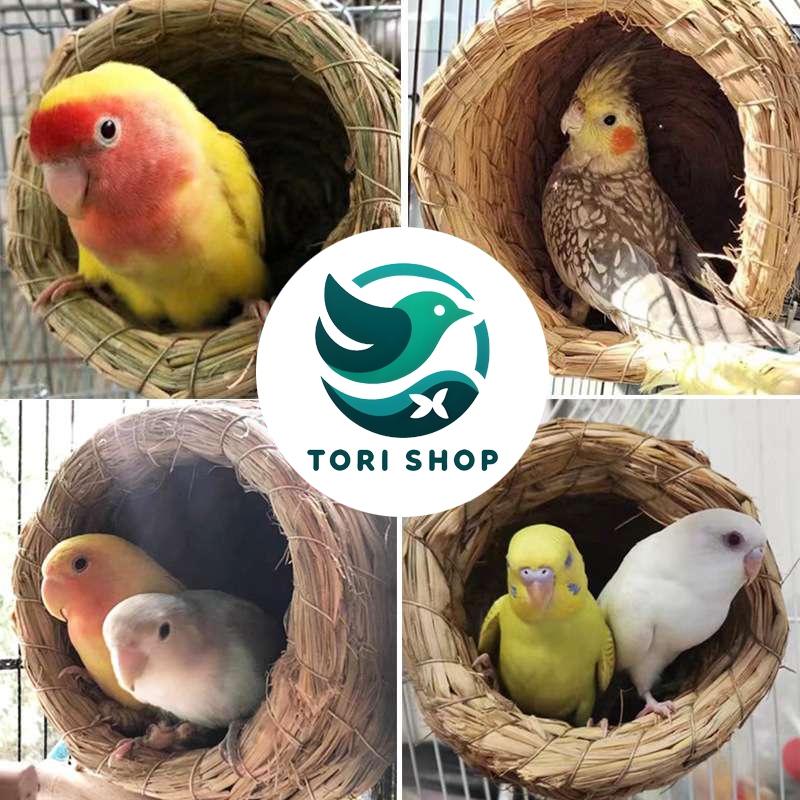 Tổ rơm cho vẹt, chim, chào mào, làm từ sợi rơm tự nhiên thủ công an ...