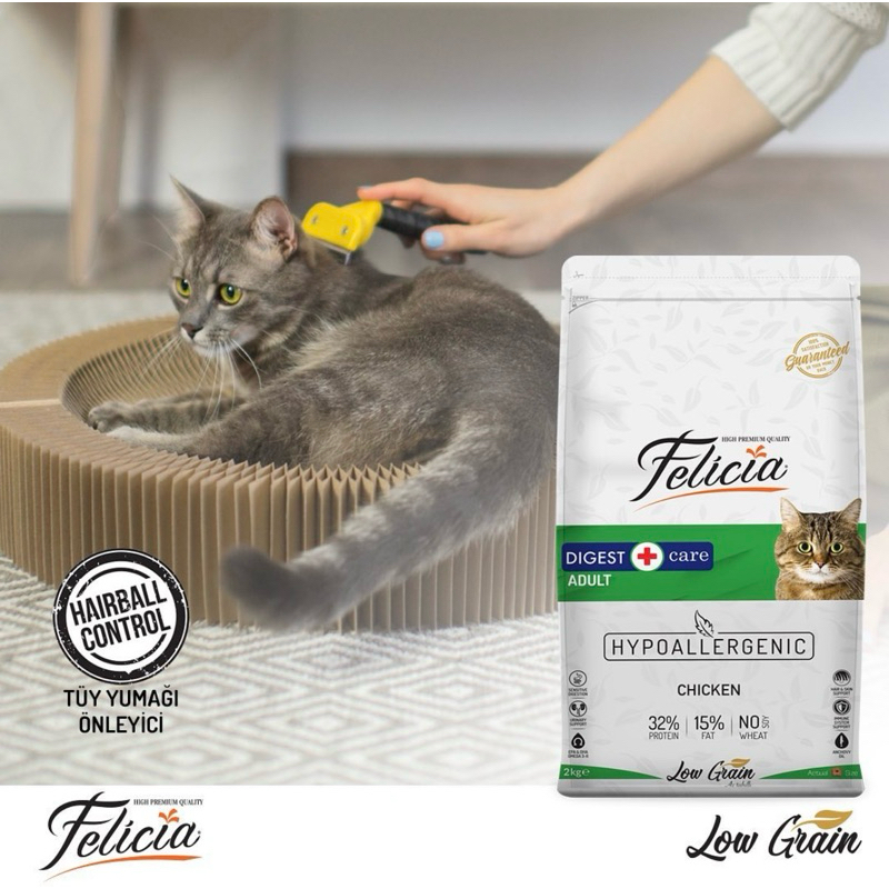 THỨC ĂN HẠT CATCHY/ FELICIA CHO MÈO MỌI LỨA TUỔI [ 400g ] | Shopee Việt Nam