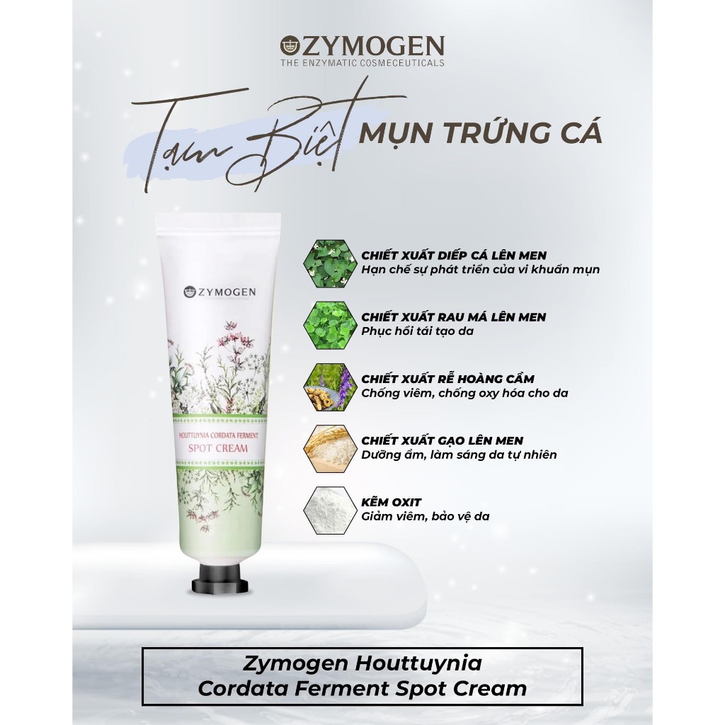 KEM DIẾP CÁ ZYMOGEN ngăn ngừa và giảm mụn ZYMOGEN HOUTTUYNIA CORDATA ...