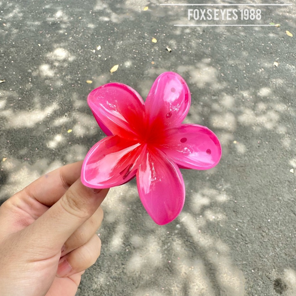 Kẹp Hoa Sứ Hot Xu Hướng Mới Màu Thạch Pastel Không Đau Tóc Phụ Kiện Tóc ...
