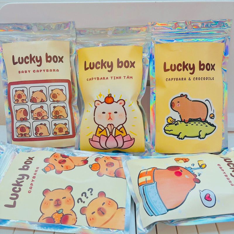 [Hàng sẵn HN] Combo 10 Túi mù LUCKY BOX đồ dùng học tập ngẫu nhiên, túi ...