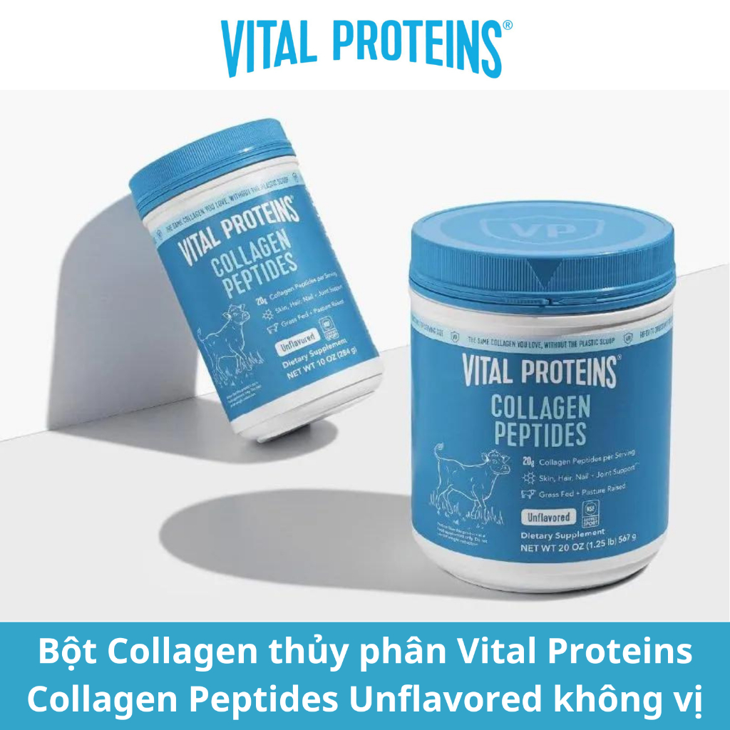 [HÀNG SẴN - DATE 2028] Bột Collagen thủy phân Vital Proteins Collagen ...