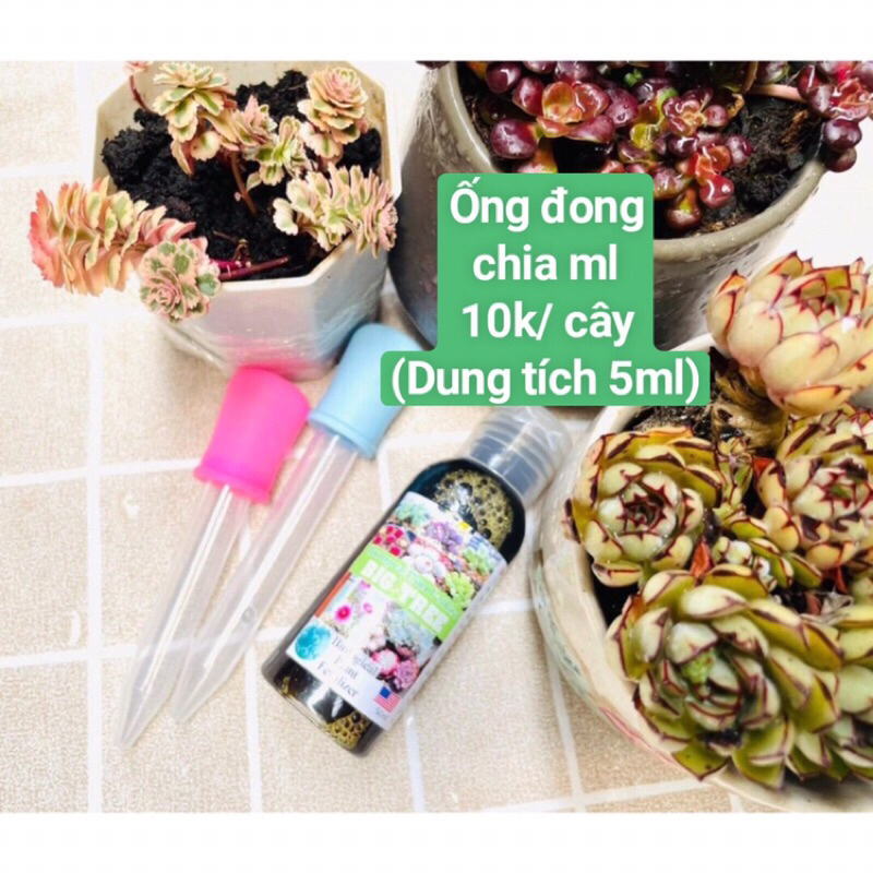 ỐNG ĐONG CHIA MILILIT | Shopee Việt Nam