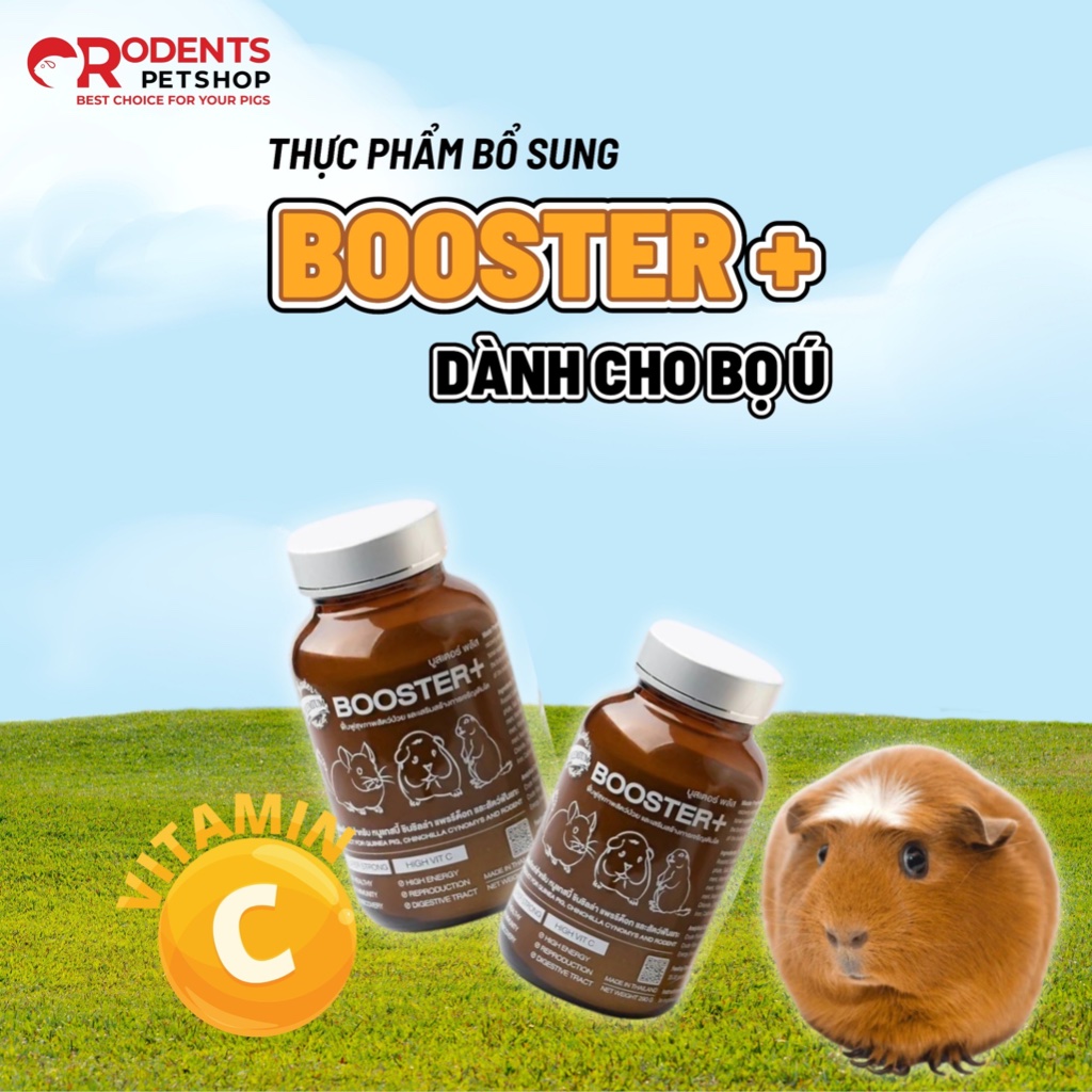 Master Premium Booster+ | Thực phẩm bổ sung dinh dưỡng cho Bọ ú, Thỏ ...