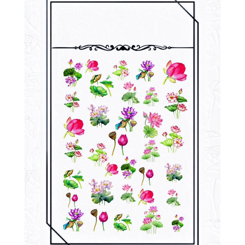 Hình dán mẫu hoa sen sticker | Shopee Việt Nam